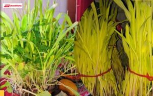 15 Festivals of Uttarakhand That Capture Its Traditions & Spirit - Mero ...